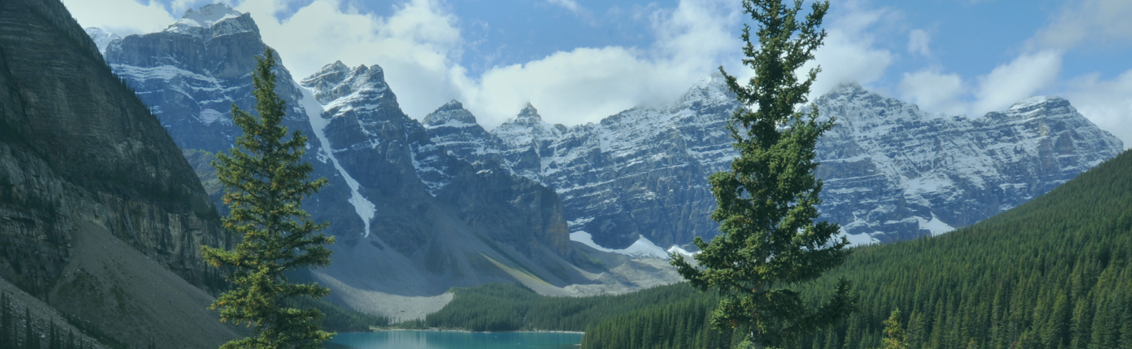 Busy Bees Talent Exchange Program | BrightPath Canada